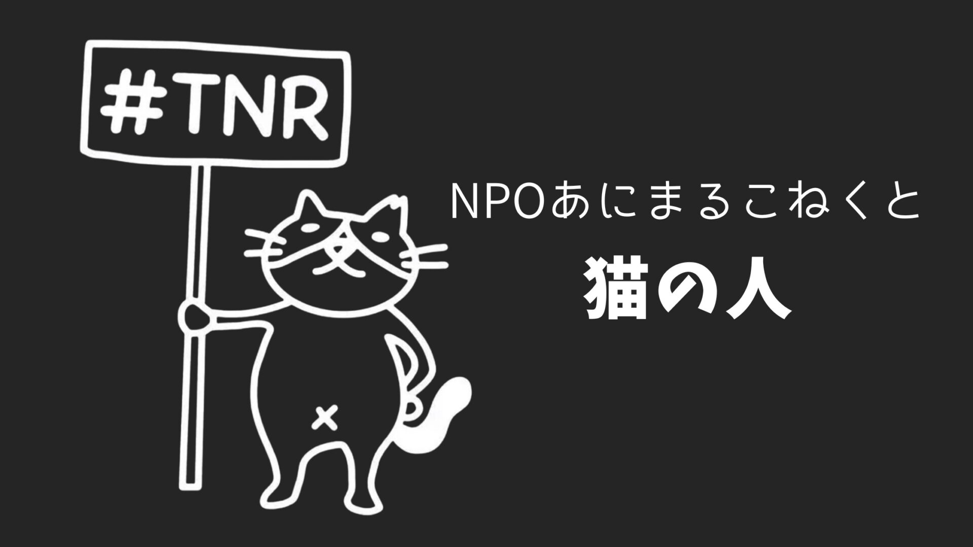 TNR活動とは？｜NPO 猫の人